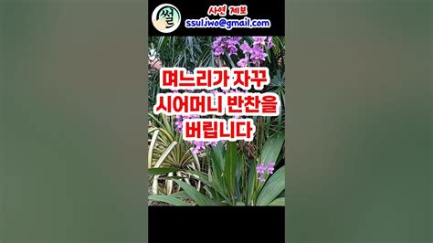 며느리가 자꾸 시어머니 반찬을 버립니다 Youtube