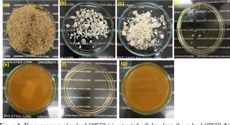 Figure 1 From Integration Of Carboxymethyl Cellulose Isolated From Oil Palm Empty Fruit Bunch