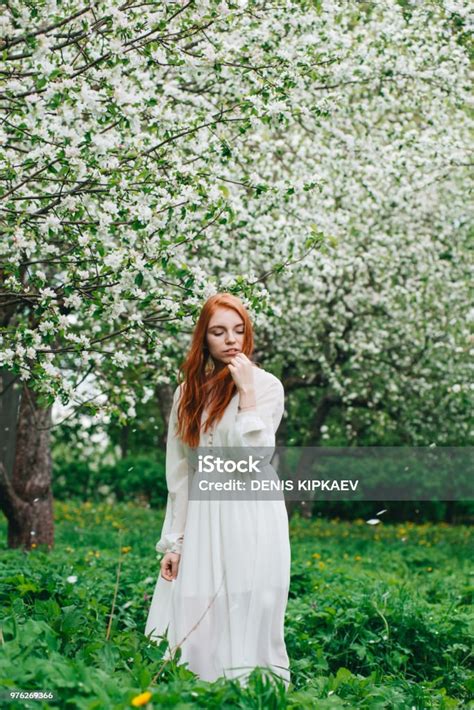 꽃이 만발한 Appl 중 흰색 드레스에 아름 다운 빨간 머리 소녀 과일에 대한 스톡 사진 및 기타 이미지 과일 꽃 식물 녹색 Istock