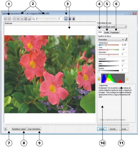 CorelDRAW Ayuda Importación de archivos RAW en CorelDRAW