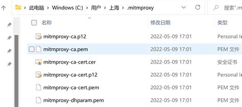 mitmproxy下载安装配置 mitmproxy下载流程 csdn博客