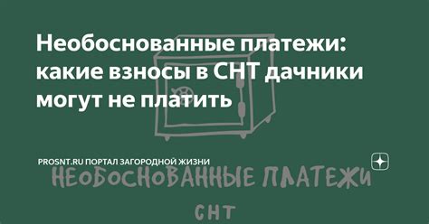 Необоснованные платежи какие взносы в СНТ дачники могут не платить портал