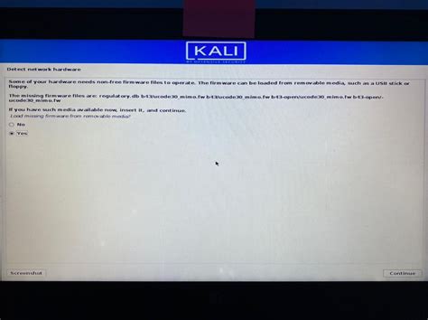 Dual Boot Error Rkalilinux
