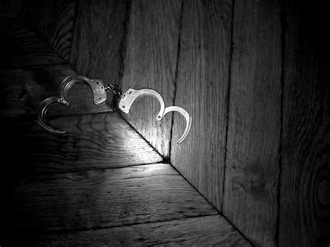 Love Photo Olivier Zahm Purple Diary