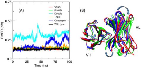 Molecular Dynamics Trajectories A Root Mean Square Deviations Cα