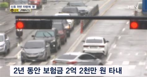 교통법규 위반 차량만 골라 쾅고등학생도 가담