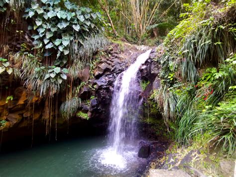 Visiting The Best Waterfalls In Grenada Route Costs