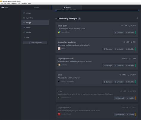 linter eslint package version appeared as undefined in settings