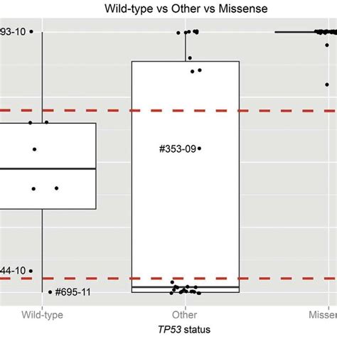 Correlation Of Wild Type And Mutant P53 Levels With Tp53 Mutation Download Scientific Diagram