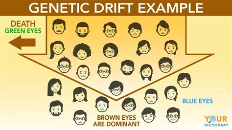 genetic examples