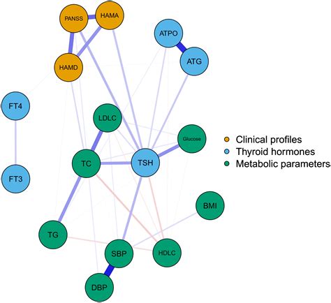Frontiers Clinical Symptoms Thyroid Dysfunction And Metabolic Disturbances In First Episode