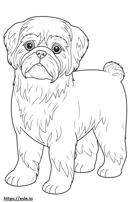 Brussels Griffon Cute Coloring Page