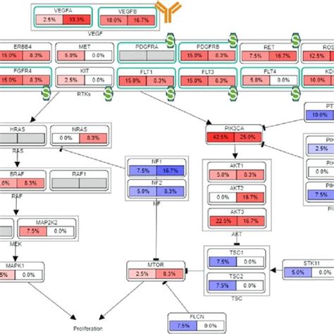 Genomic Alterations In Signaling Molecules That Interact With The Vegf