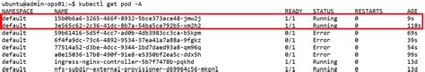 the training process of tao toolkit api unet is always in inf status