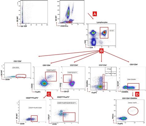 Fig1 Flow Cytometry Gating Strategy For Analysis Of Treg Subsets