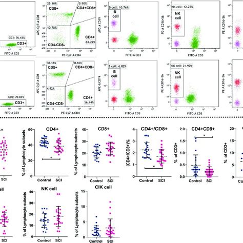 Comparison Of Lymphocyte Subsets In Sci Group And Control Group Flow Download Scientific