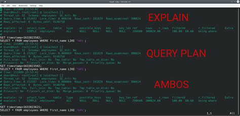 Entenda As Diferenças Entre Mysql Community Mysql Enterprise Percona E Mariadb Blog 4linux