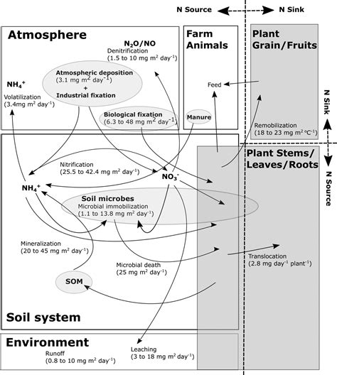 Agronomic And Physiological Aspects Of Nitrogen Use Efficiency In Conventional And Organic