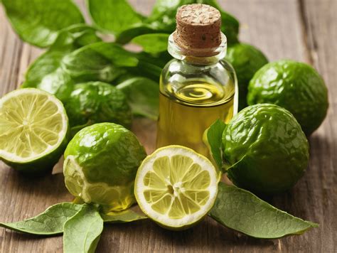 Bergamot Oil Nutrition Benefits Uses And Side Effects