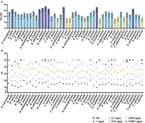 Quantitative And Dynamic Profiling Of Human Gut Core Microbiota By Real