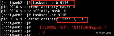 taskset命令详解 taskset c sq夏颜的博客 csdn博客