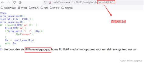 NSSCTFweb刷题记录 swpuctf 新生赛 caidao CSDN博客