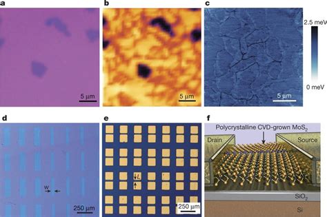Architecture Of The Mos2 Memtransistor A Optical Micrograph Of Download Scientific Diagram