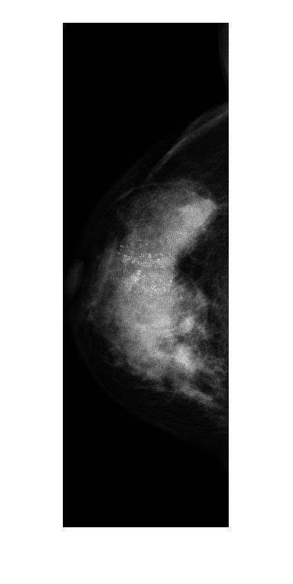 Github Refateshaqmax Planck Algorithm Max Planck Theory For Digital