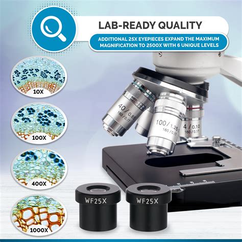 Buy Amscope 40x 2500x Led Lab Binocular Compound Microscope With 3d Stage Online At Lowest Price