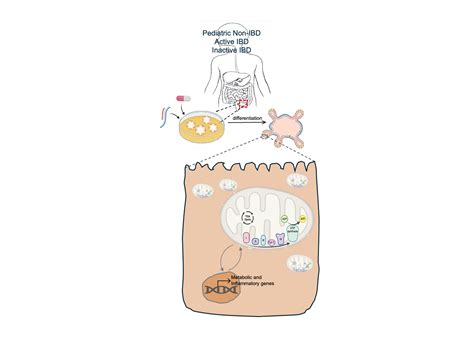 General 4 — Jide Ojo Lab