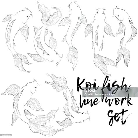 잉어 피쉬 핸드 드로우 개요 일러스트 컬렉션 흰색 배경에 라인 작업 스타일의 잉어 세트 물고기에 대한 스톡 벡터 아트 및 기타 이미지 물고기 비단잉어 0명 Istock