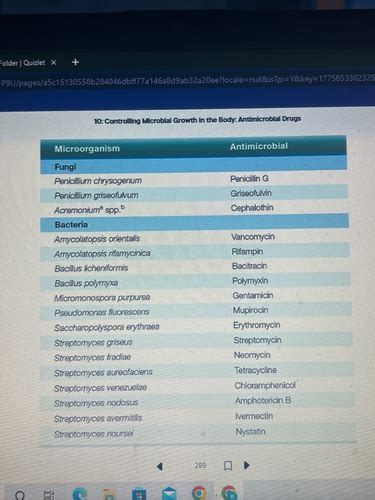 Lecture Module Antimicrobial Drugs Flashcards Quizlet