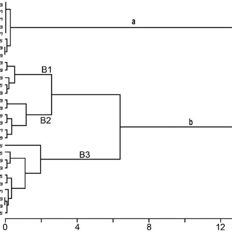 Dendrogram Generated By Cluster Analysis Wards Method Of 29 Species