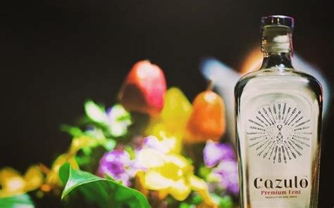 The Floating Feni With Your Feet Dipped In Water Have A Feni Tasting With A Meal At Feni