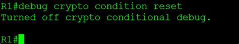debugging a specific ipsec vpn ccie or null