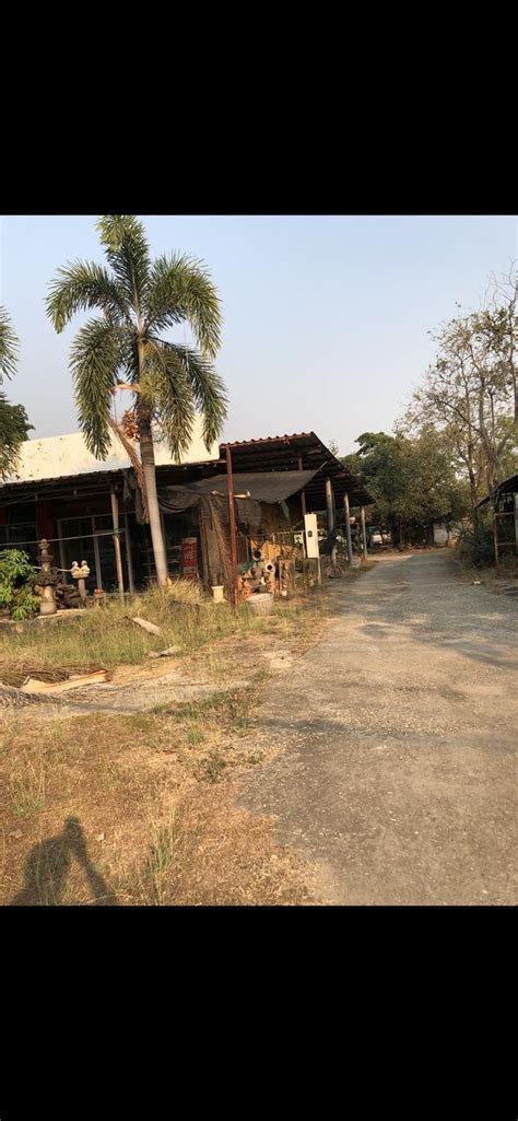 ขายที่ดิน 4 ไร่ 2 งาน31ตรวา ขายไร่ละ 5 500 000 ต่อลองได้ อยู่ติดถนนสาย