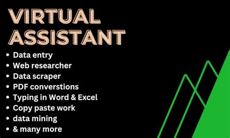 virtual assistant for big data entry mining scraping formatting and