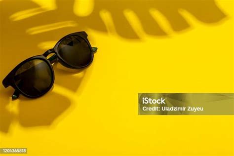 여름과 휴가 개념입니다 밝은 깨끗한 여름 배경에 열대 진실과 식물의 그림자에 선글라스 나무에 대한 스톡 사진 및 기타 이미지 나무 낮 노랑 Istock