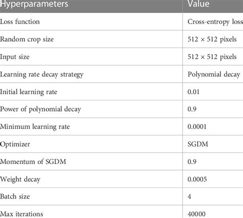 hyperparameters during network training download scientific diagram