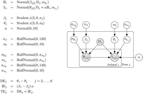 Model Definition And Representation As A Directed Acyclic Graph Dag