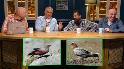 კლდეცოცია და ფასკუნჯი 🐦😆 Youtube