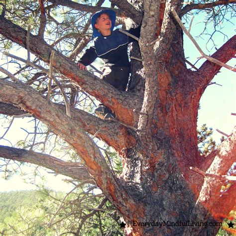 Things Learned By Climbing Trees Everyday Intentional Living