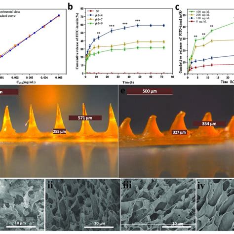 In Vitro Drug Release Curves And Morphology Of Mns Before And After Download Scientific Diagram