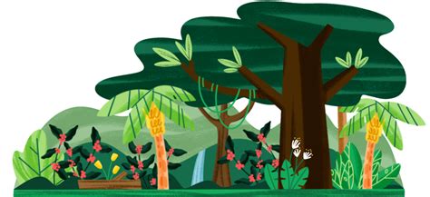 Agroforestry Forecast Coffee Company