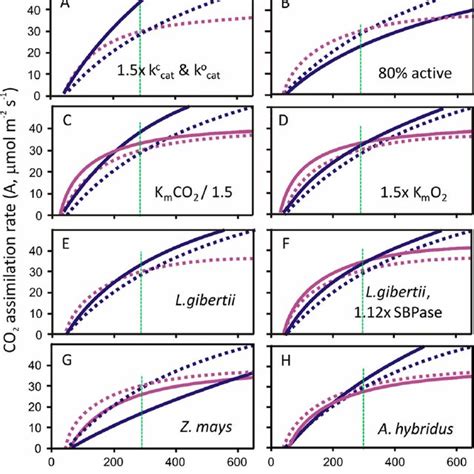 The Activation State Of Rubisco As A Function Of Rubisco Content At 25