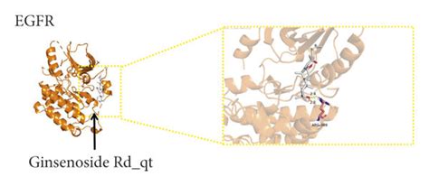Detailed Target Compound Interactions In The Docking Simulation A