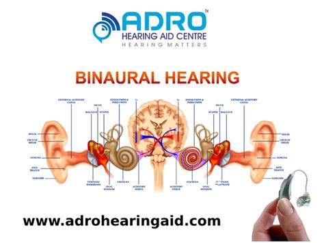 Binaural Processing In Digital Hearing Aids Hearing Aids Audiologist Hearing Solution