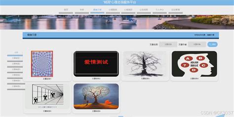 Springboot 树洞”心理咨询服务平台42n82（程序源码数据库调试部署开发环境）匿名 树洞 源码 Csdn博客