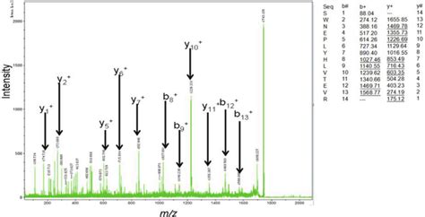 Maldi Tof Tof Ms Ms Spectrum Of The Tryptic Peptide 118 Swneplyhlvtevr Download Scientific