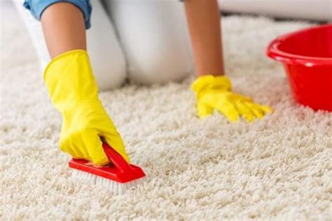 Як відчистити килим від слідів їжі та напоїв проста порада ПІК ПІК